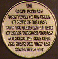 AA Camel – Completely Dry Medallion – AA Medallions & Al-Anon ...